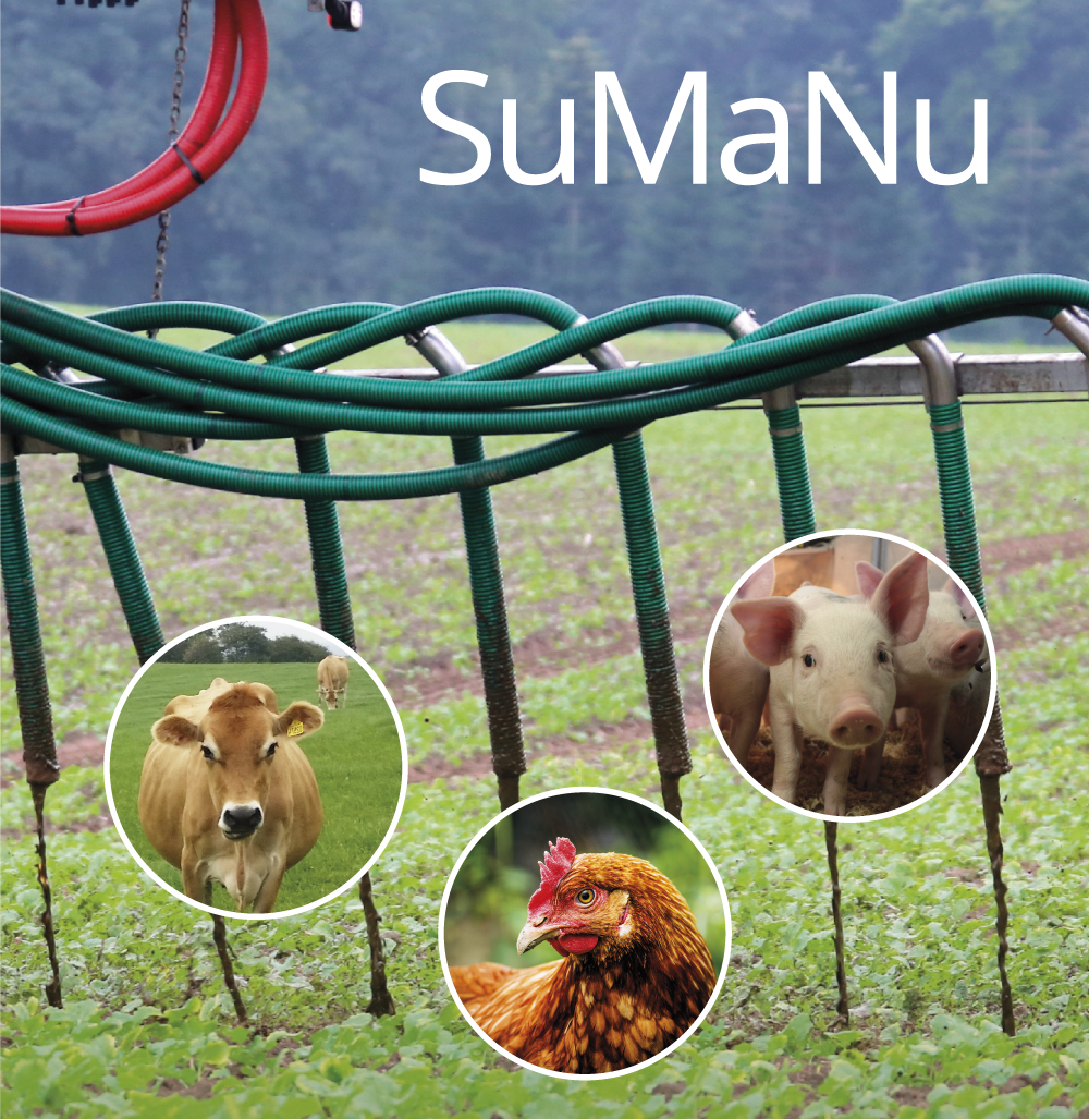 Joint steps to safe nutrient recycling | Balticsumanu.eu